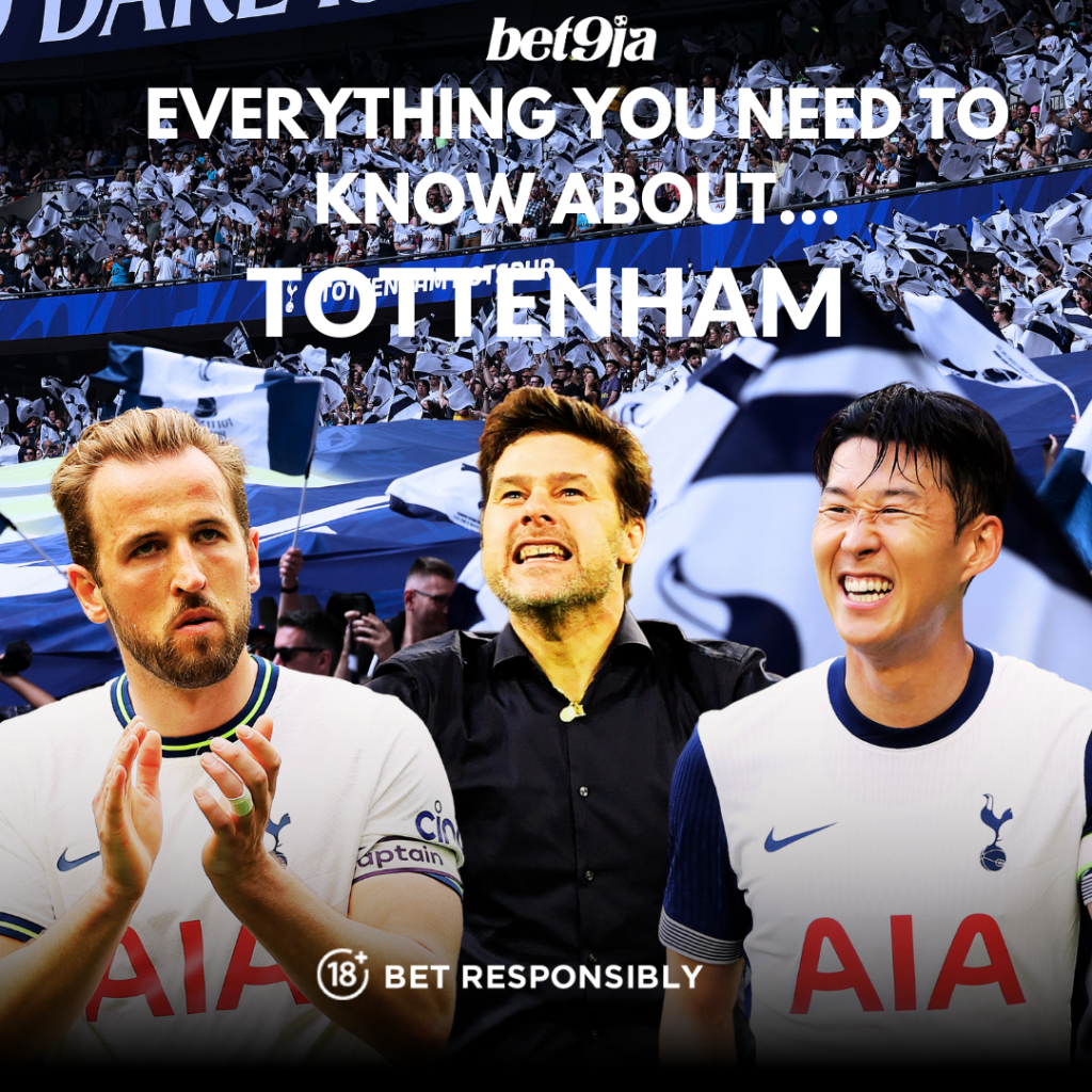 Everything You Need to Know About Tottenham! Honours, EPL Titles ...